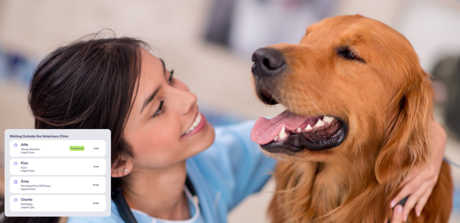 Top 5 veterinary practice management software solutions: A guide | WaitWell