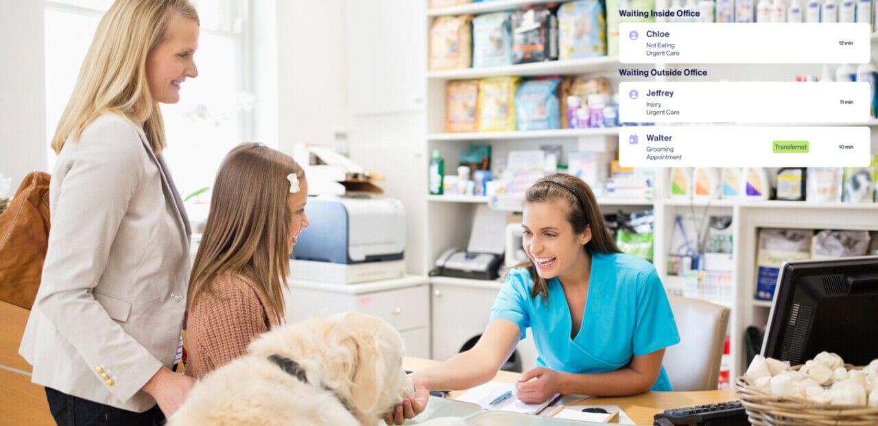 Top 5 veterinary practice management software solutions: A guide | WaitWell